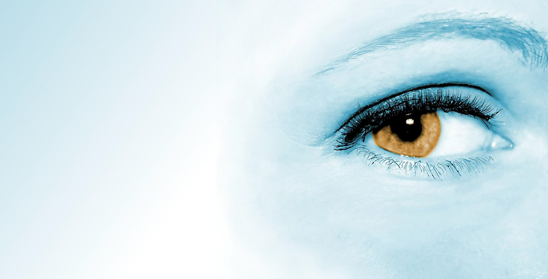 Observar | Izasa Scientific